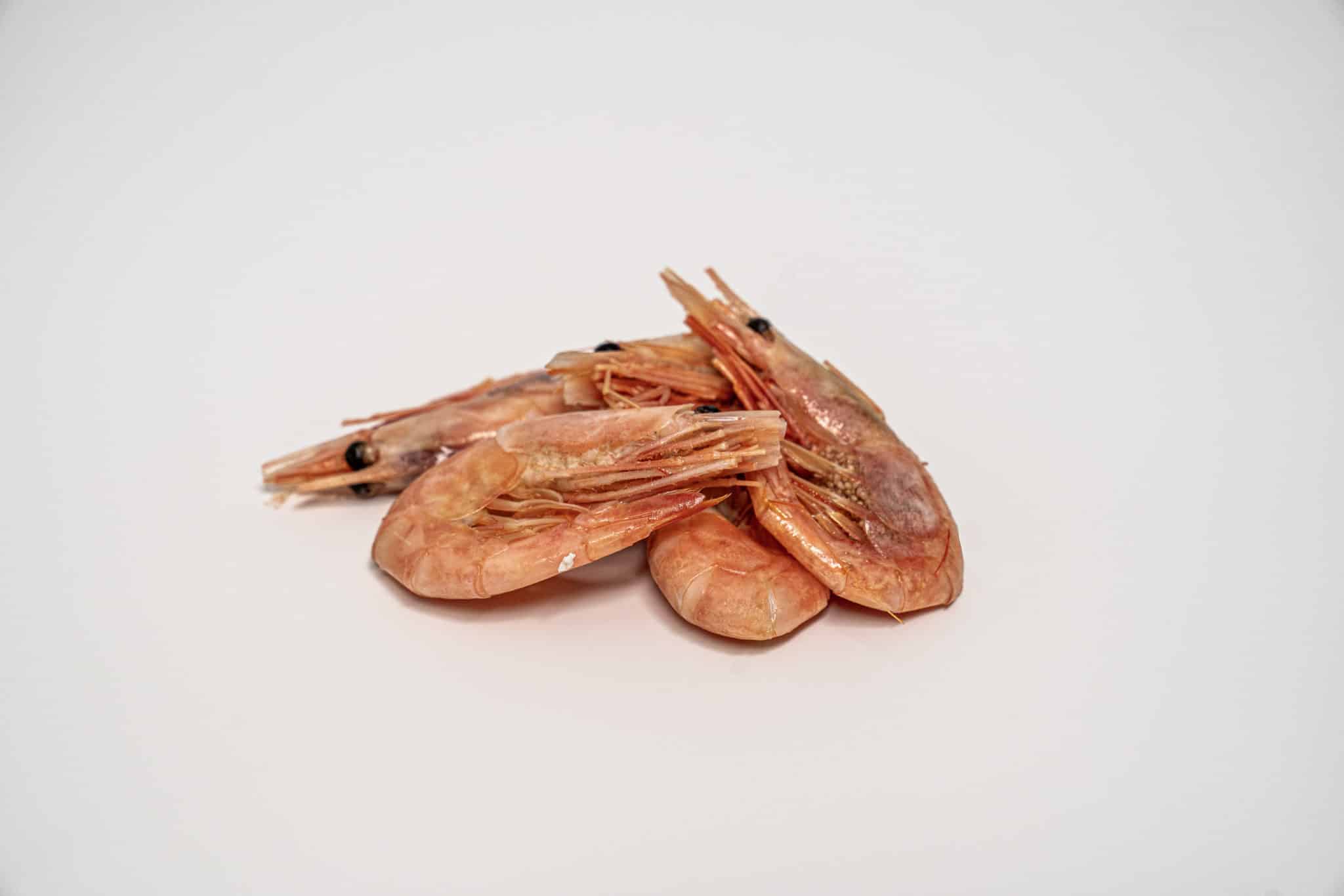 Mitt kjøleskap - TORO